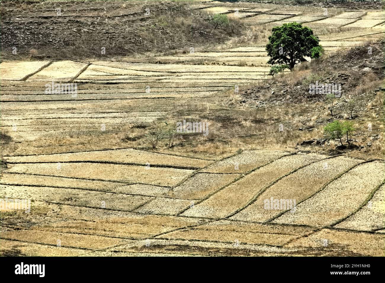 Dry agricultural fields during dry season in East Sumba, East Nusa ...