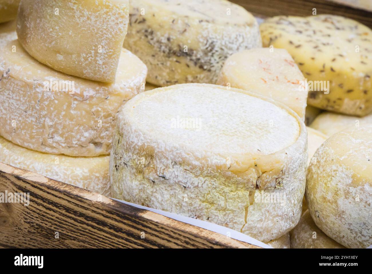 Blocks of fresh cheese with spices for sale on stall or in grocery shop ...