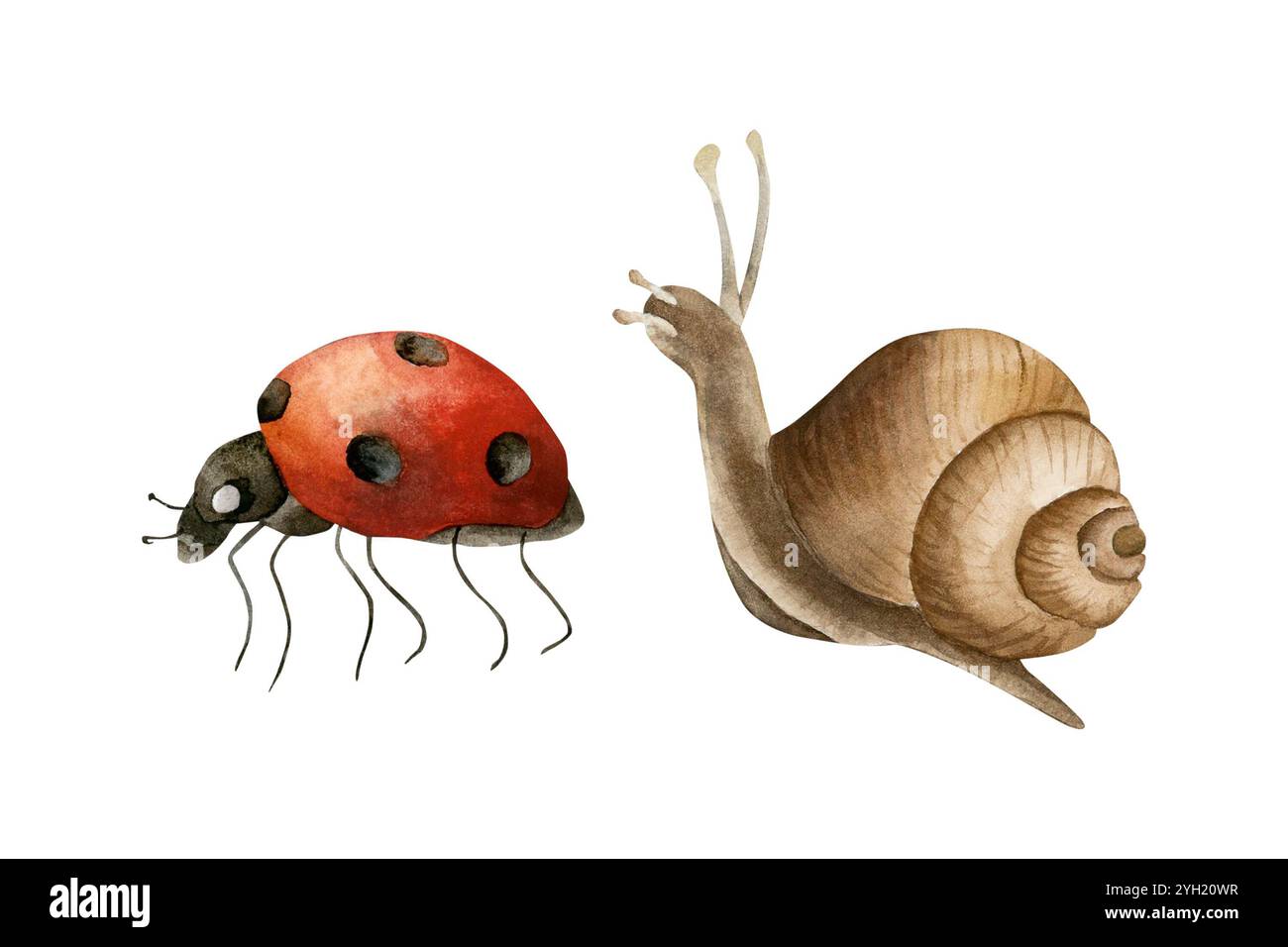 Ladybug and snail. Set of garden insect. Watercolor hand drawn animal ...