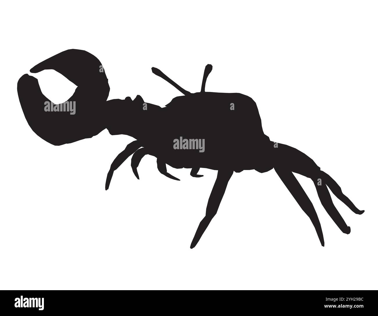 Crab vector art, graphics crabs icon, vintage illustration crab clipart ...