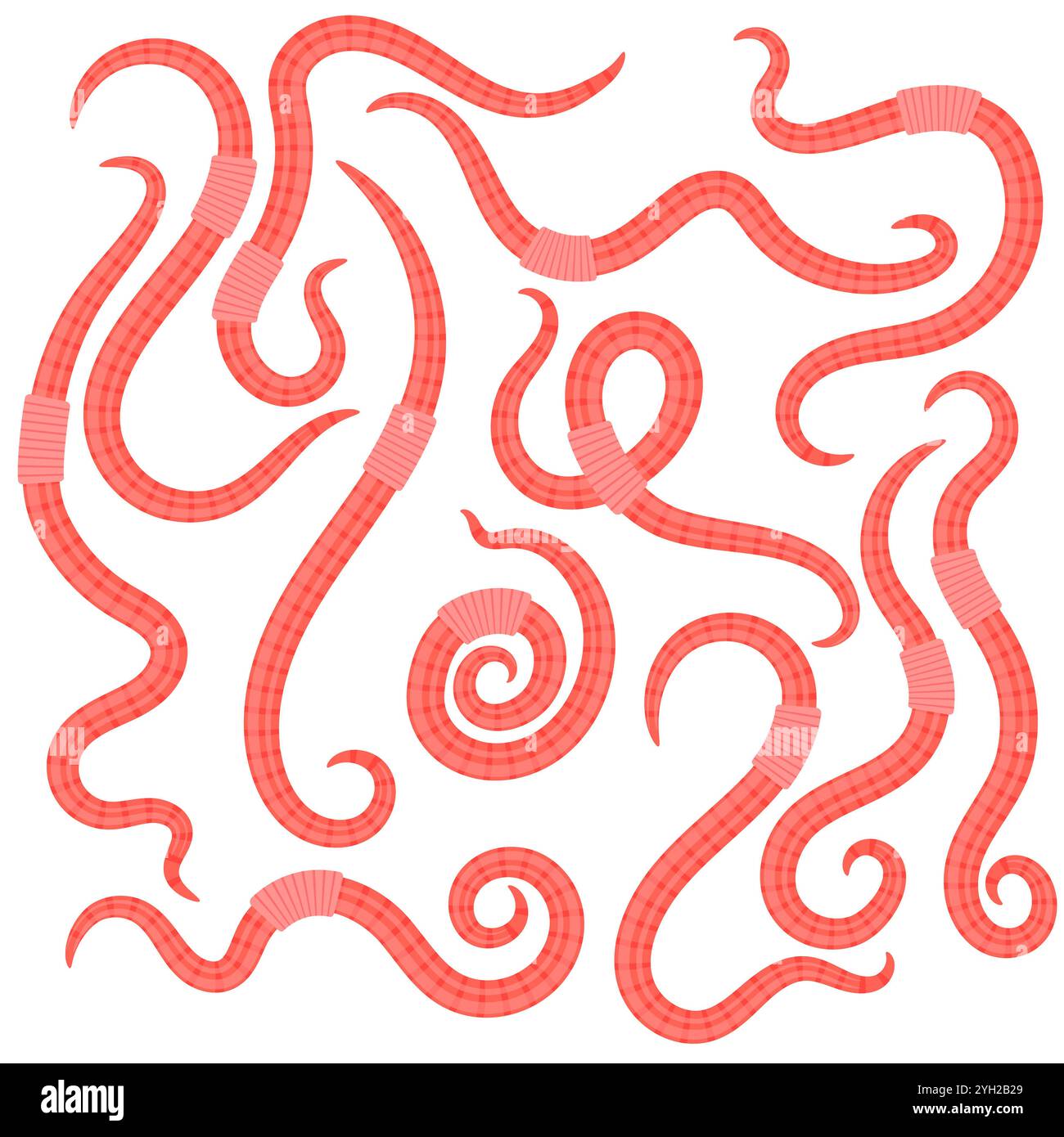 Raster Animal Earth Red Worms for Fishing Isolated on White Background ...