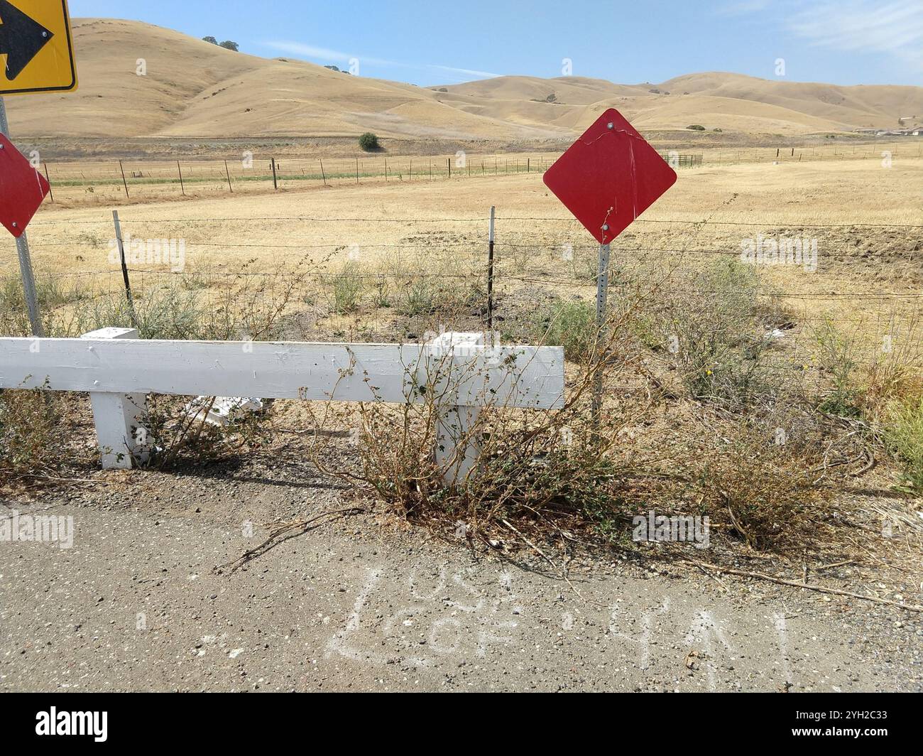 Cretan mallow (Malva multiflora Stock Photo - Alamy
