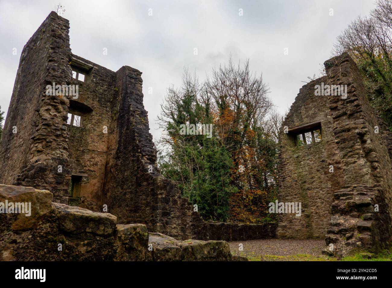 Old Castle Archdale Stock Photo - Alamy