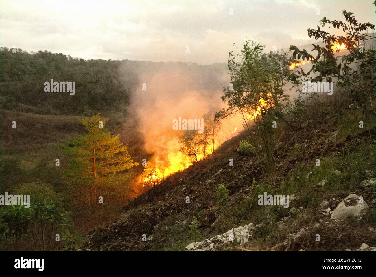 Landfire on a dry grassland during dry season on the outskirts of ...