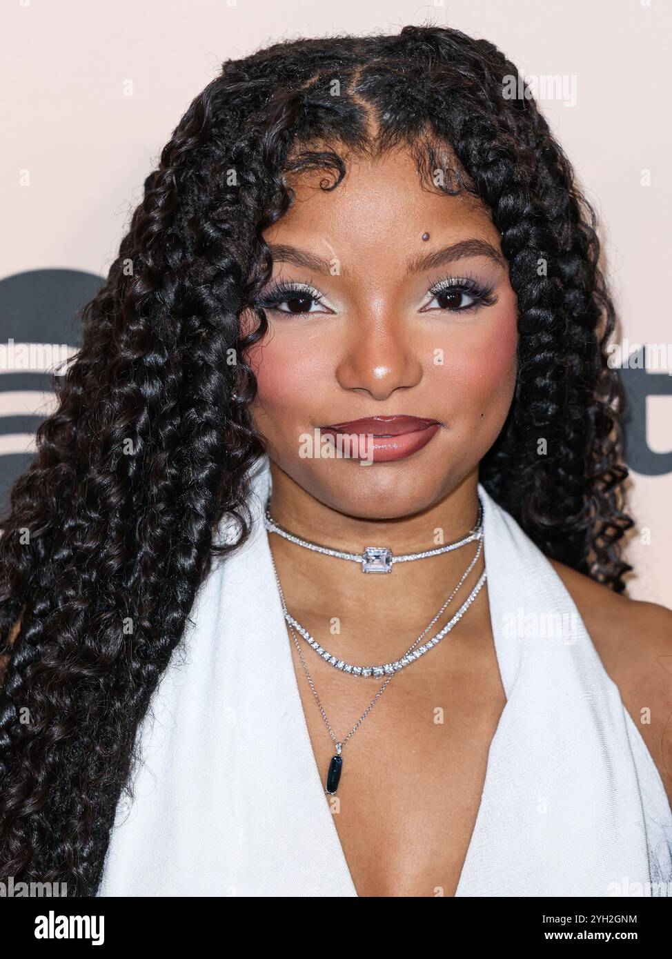 BEVERLY HILLS, LOS ANGELES, CALIFORNIA, USA - NOVEMBER 08: Halle Bailey ...