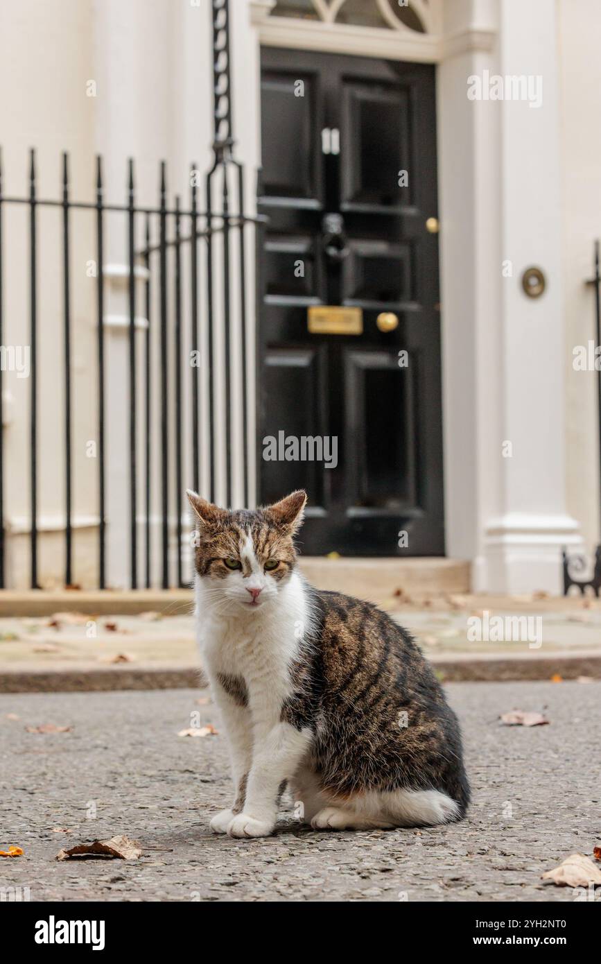 Larry the cat outside Number 11 Downing Street ahead of Rachel Reeves ...