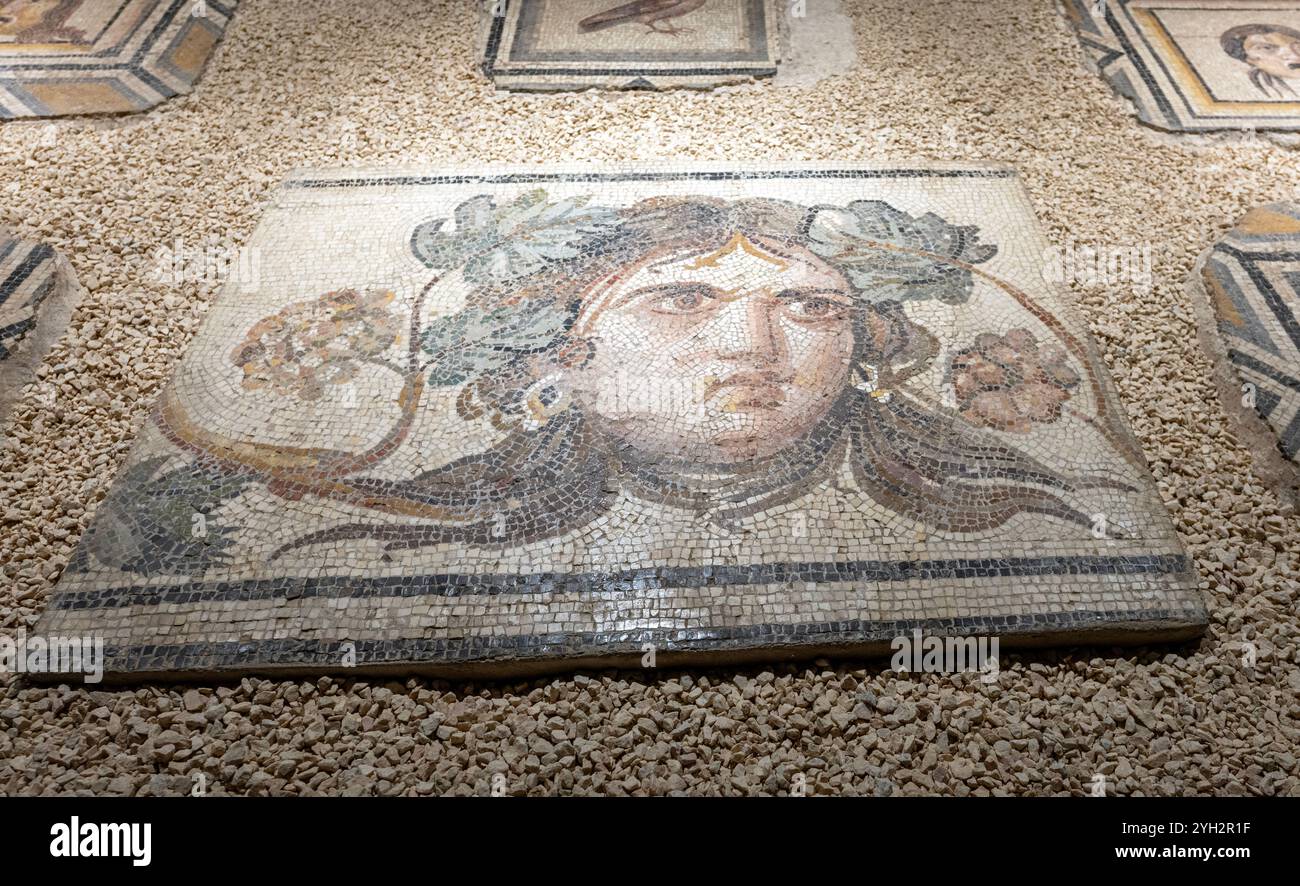 Zeugma Mosaic Museum Gaziantep Turkey Stock Photo - Alamy