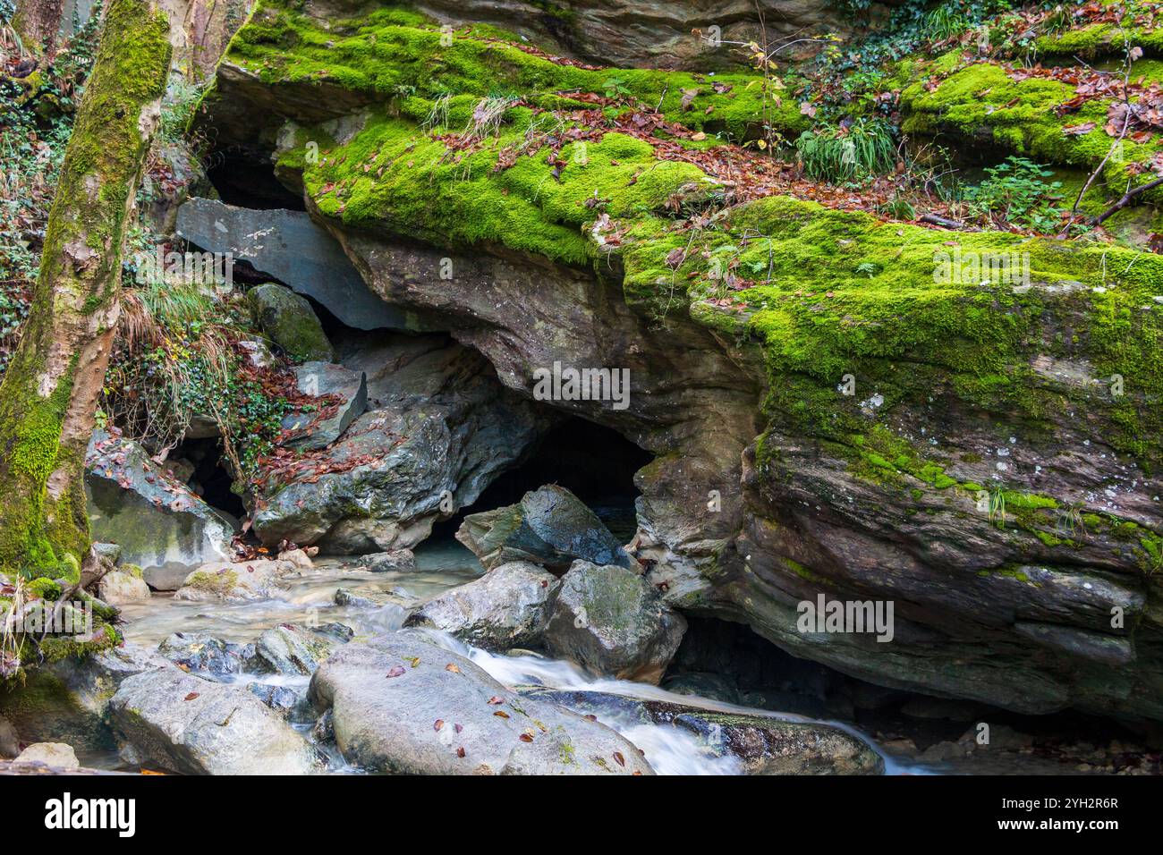 Moss covered canyon hi-res stock photography and images - Alamy