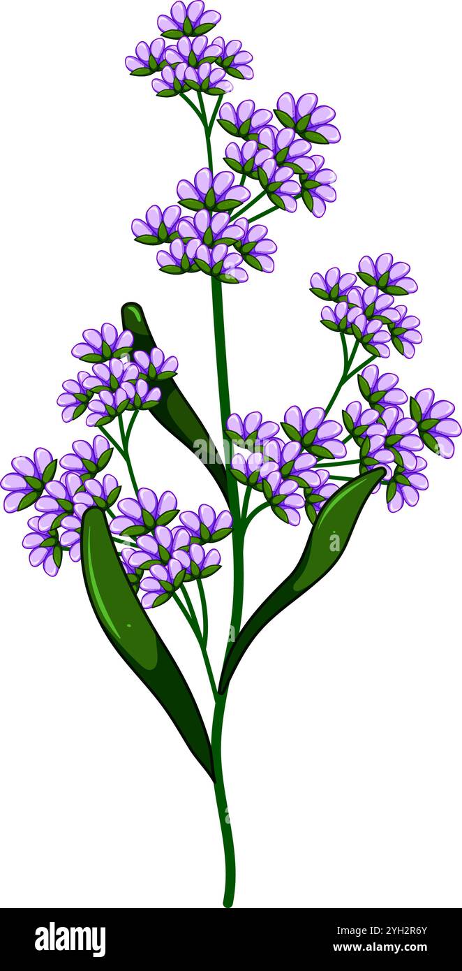 bouquet flower branch cartoon vector illustration Stock Vector Image ...