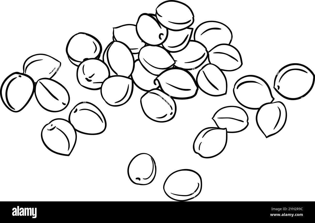 Hemp seeds Black and White Stock Photos & Images - Alamy