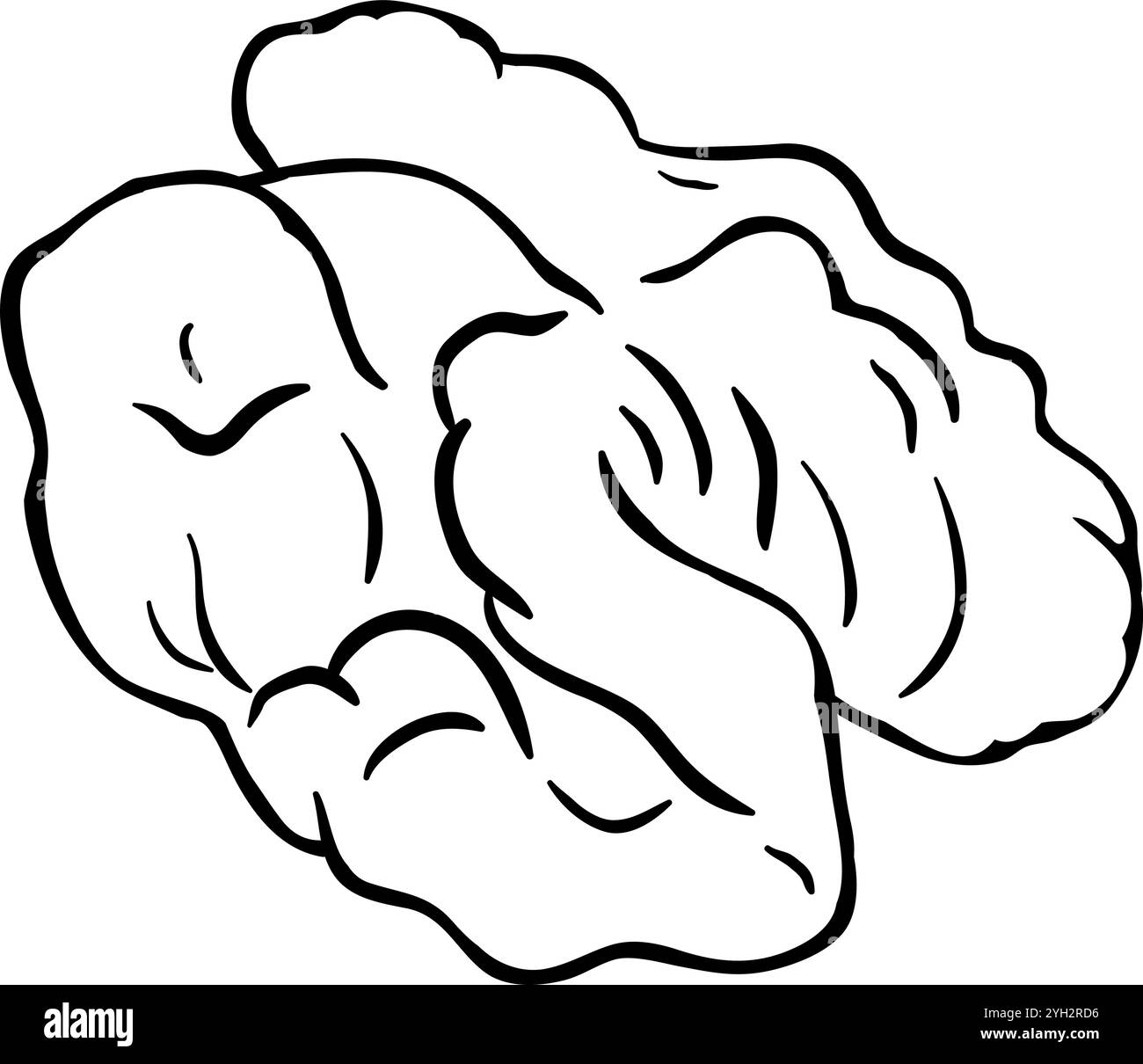 Walnut Isolated Vector Outline Illustration Stock Vector Image & Art ...