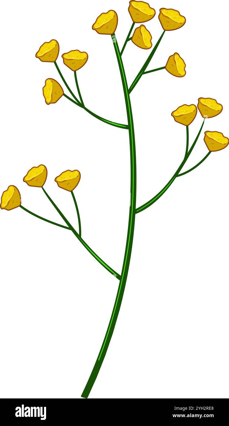 stem flower branch cartoon vector illustration Stock Vector Image & Art ...