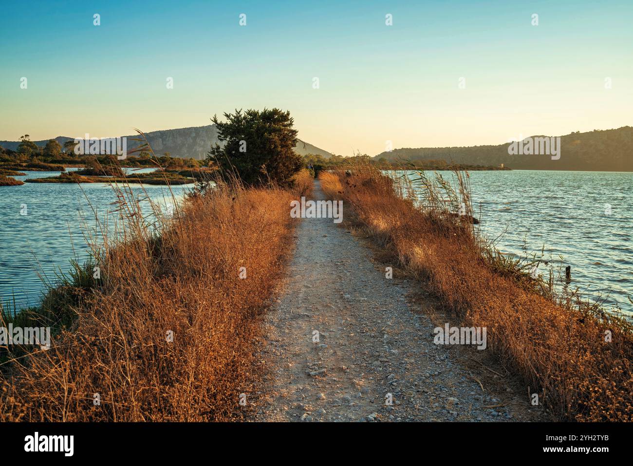 Narrow dirt path lined with dry grasses alongside Gialova Lagoon ...