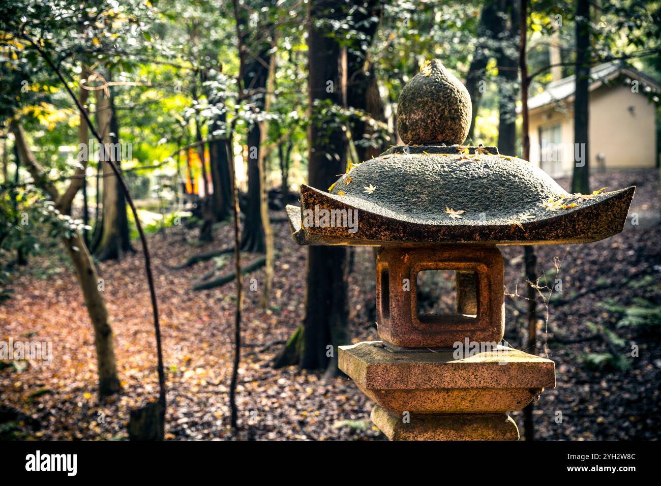 The stone lanterns represent important symbolic offerings to the Buddha ...