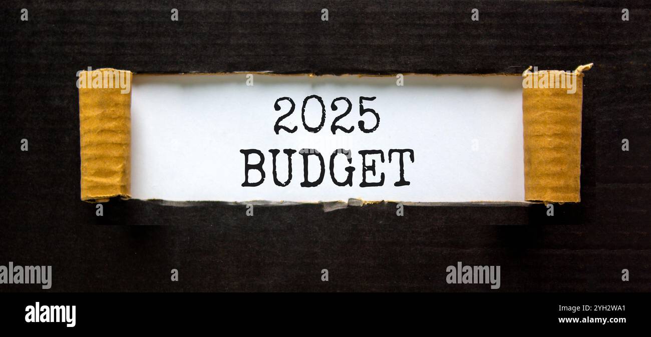 Planning 2025 budget new year symbol. Concept words 2025 Budget on ...