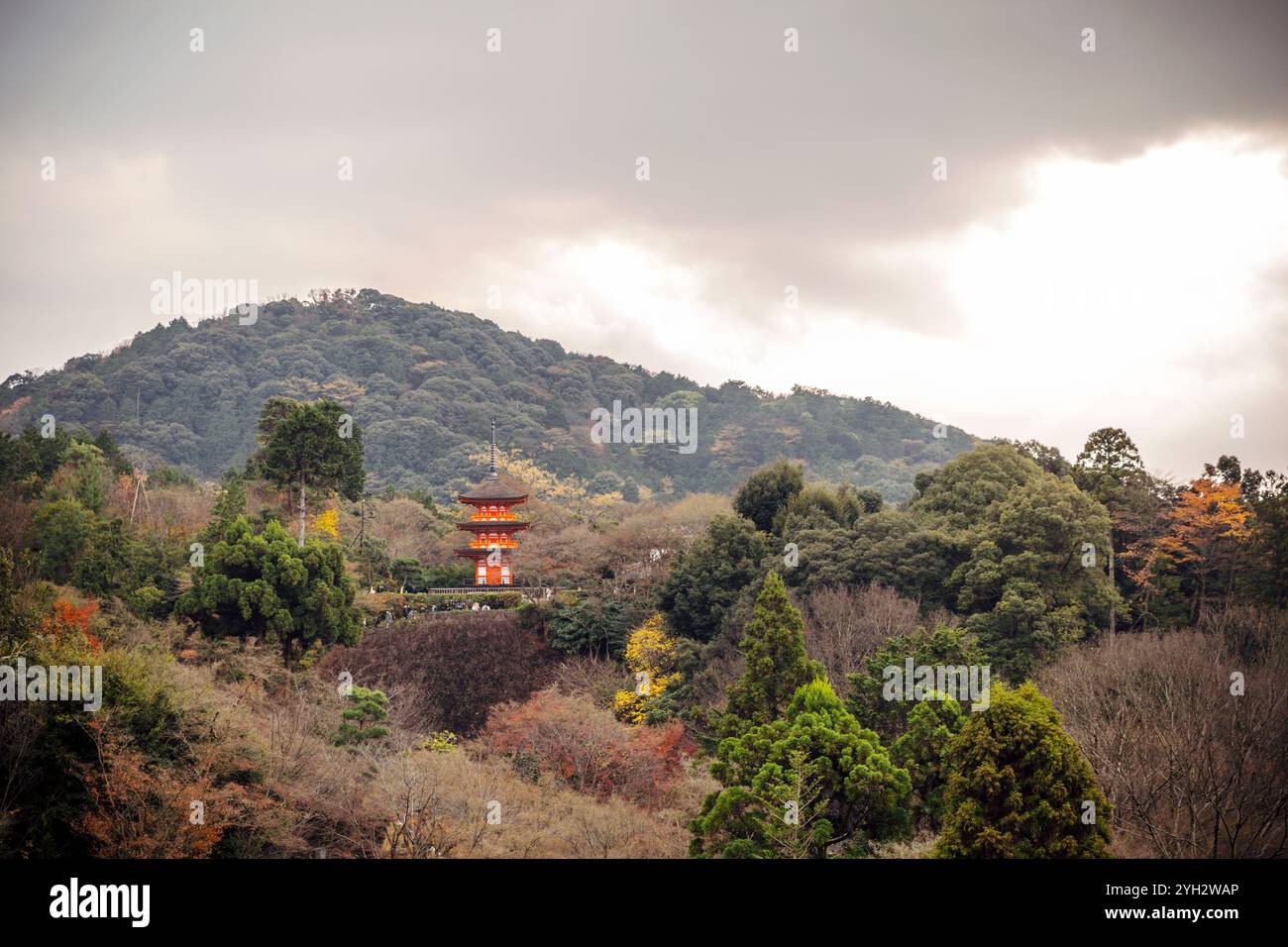 Forested temple hi-res stock photography and images - Alamy