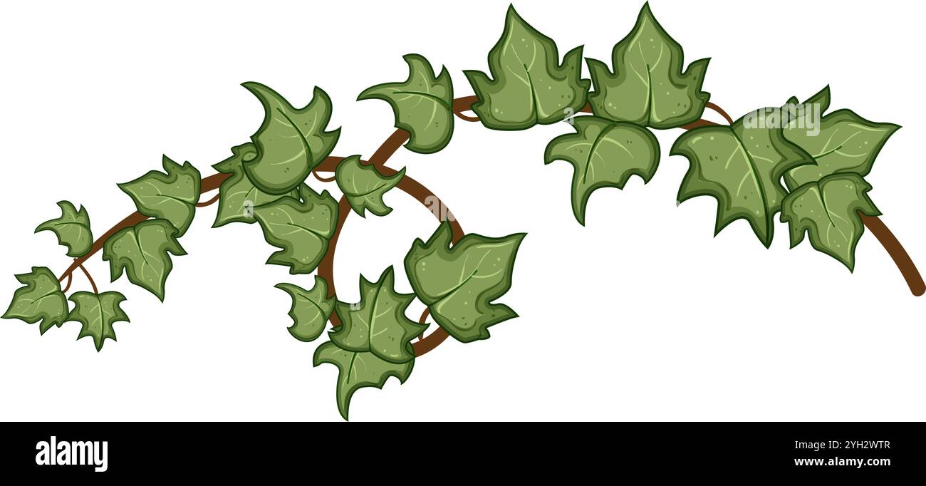 foliage green ivy cartoon vector illustration Stock Vector Image & Art ...