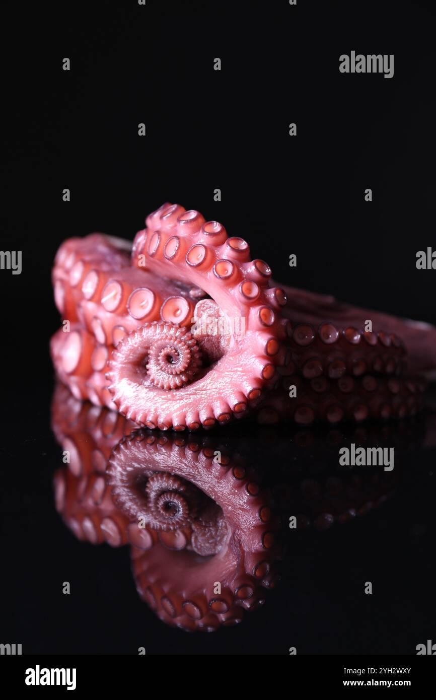 Octopus on surface hi-res stock photography and images - Alamy