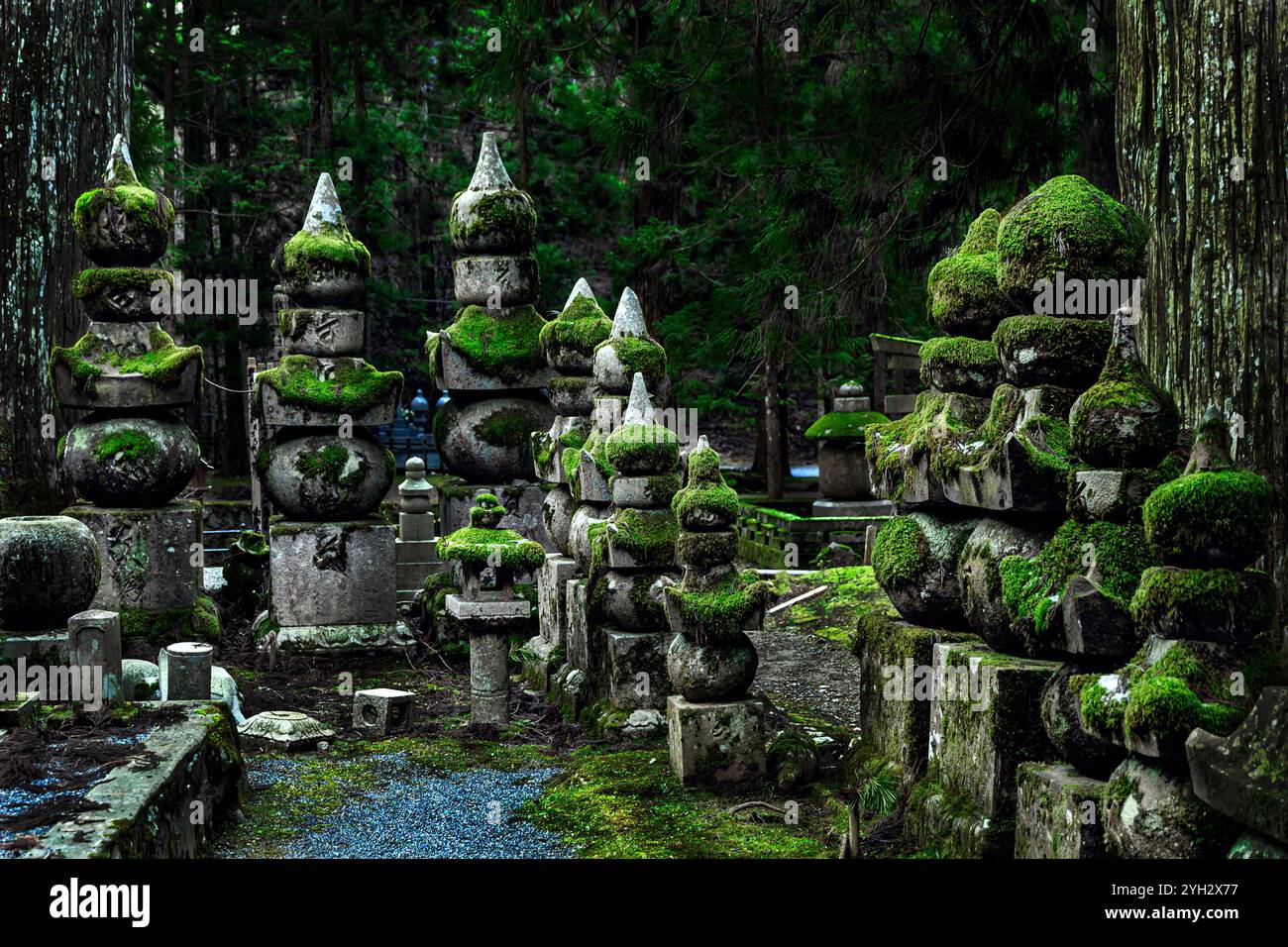 Mossy Stone Lanterns in a Japanese Cemetery Stock Photo - Alamy