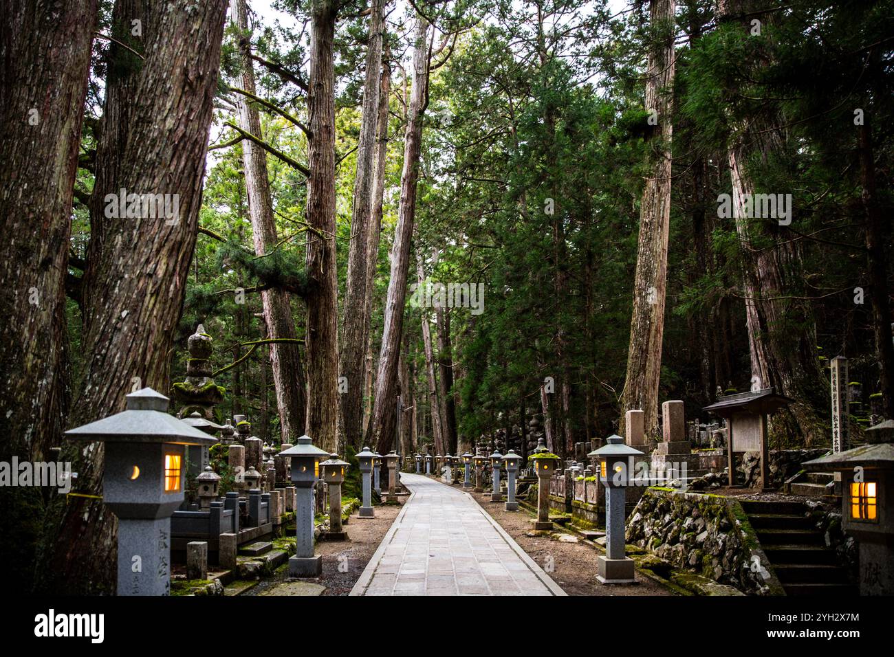 Japanese historic cemetery hi-res stock photography and images - Alamy