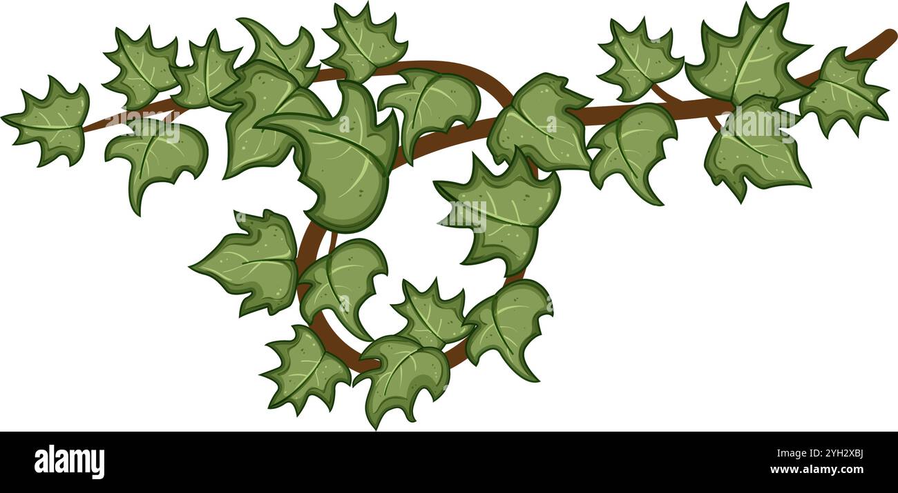 vine green ivy cartoon vector illustration Stock Vector Image & Art - Alamy