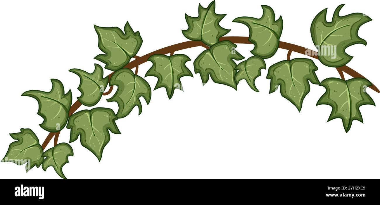plant green ivy cartoon vector illustration Stock Vector Image & Art ...