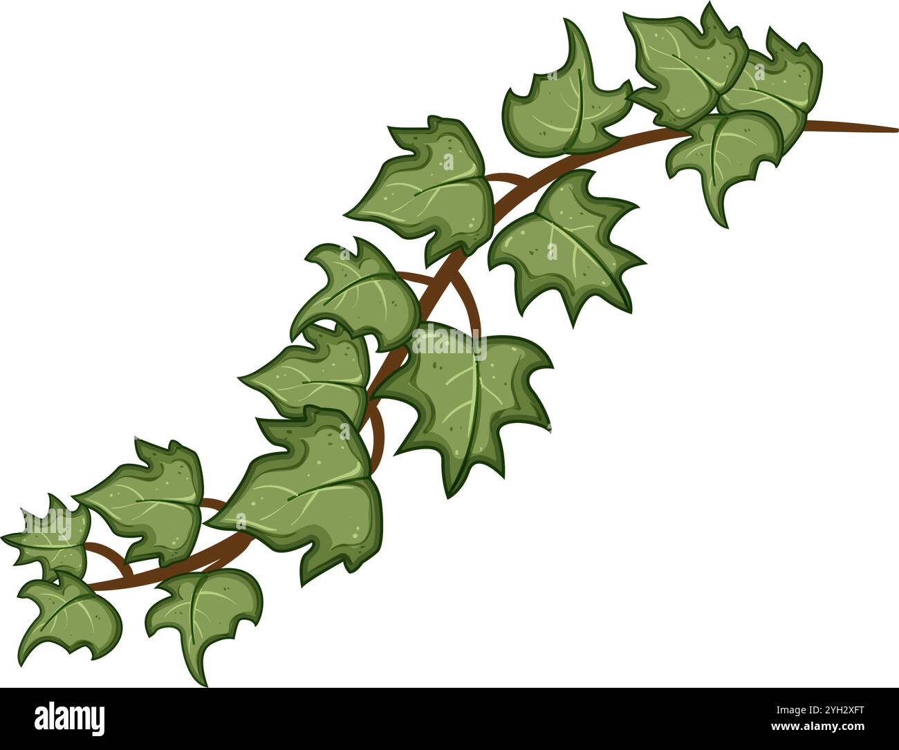growth green ivy cartoon vector illustration Stock Vector Image & Art ...