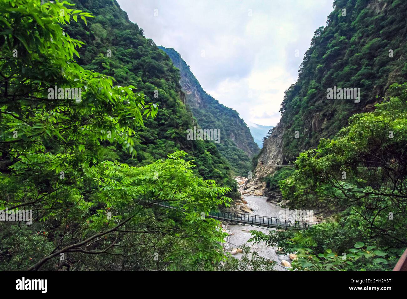 Forest hualien hi-res stock photography and images - Alamy