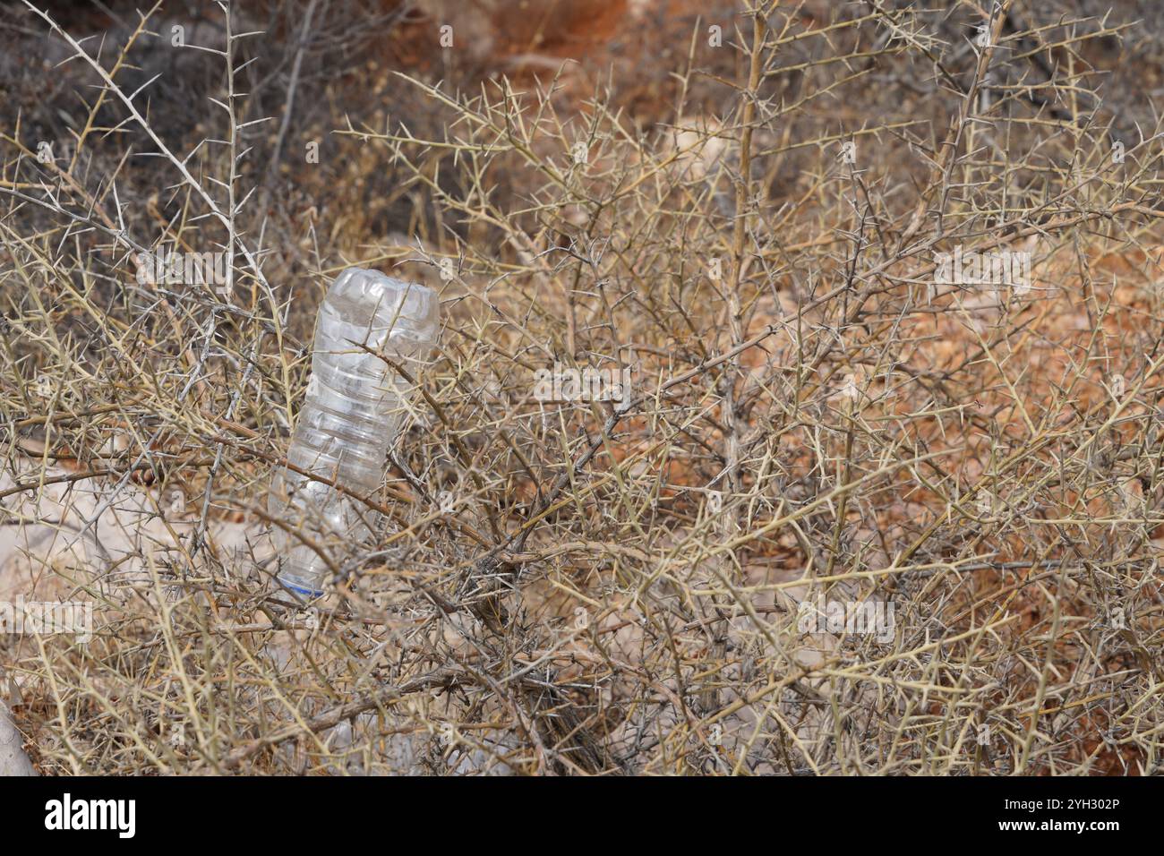 Plastic bottle causes waste hi-res stock photography and images - Alamy