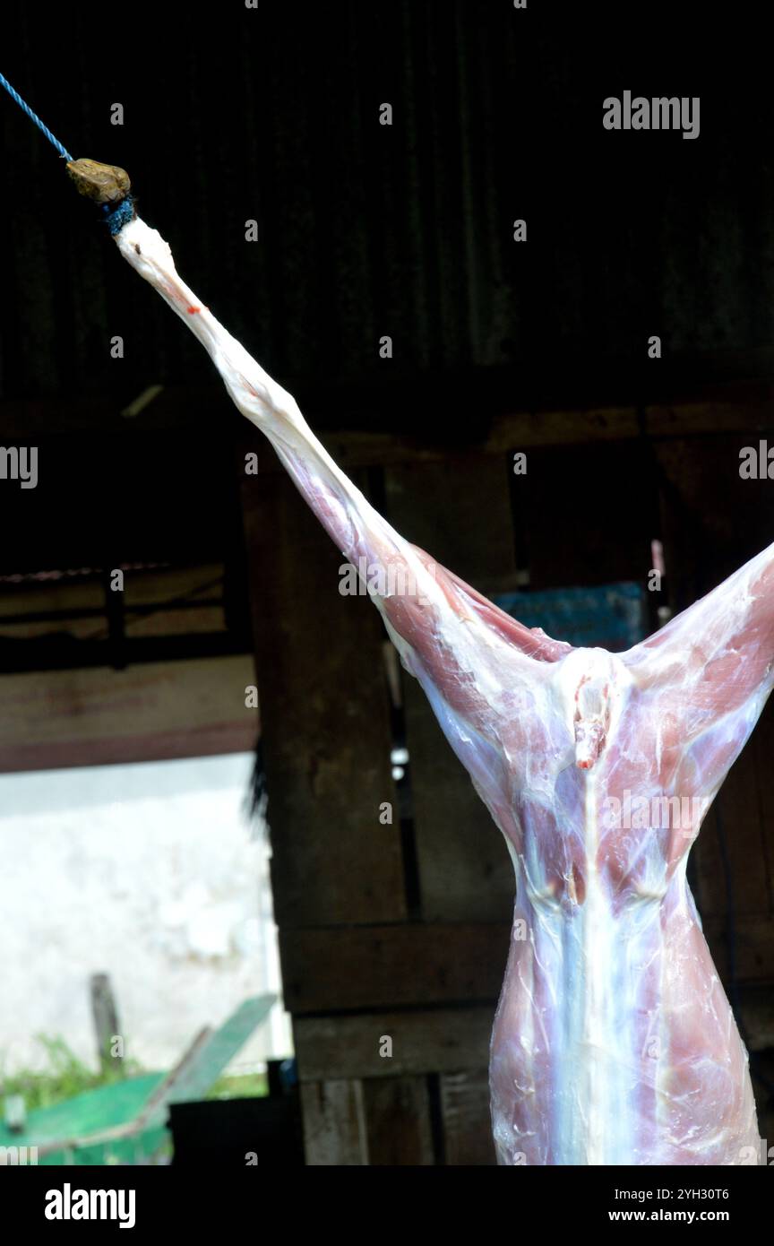 Skinning completed. Fresh goat meat, ready for cooked Stock Photo - Alamy