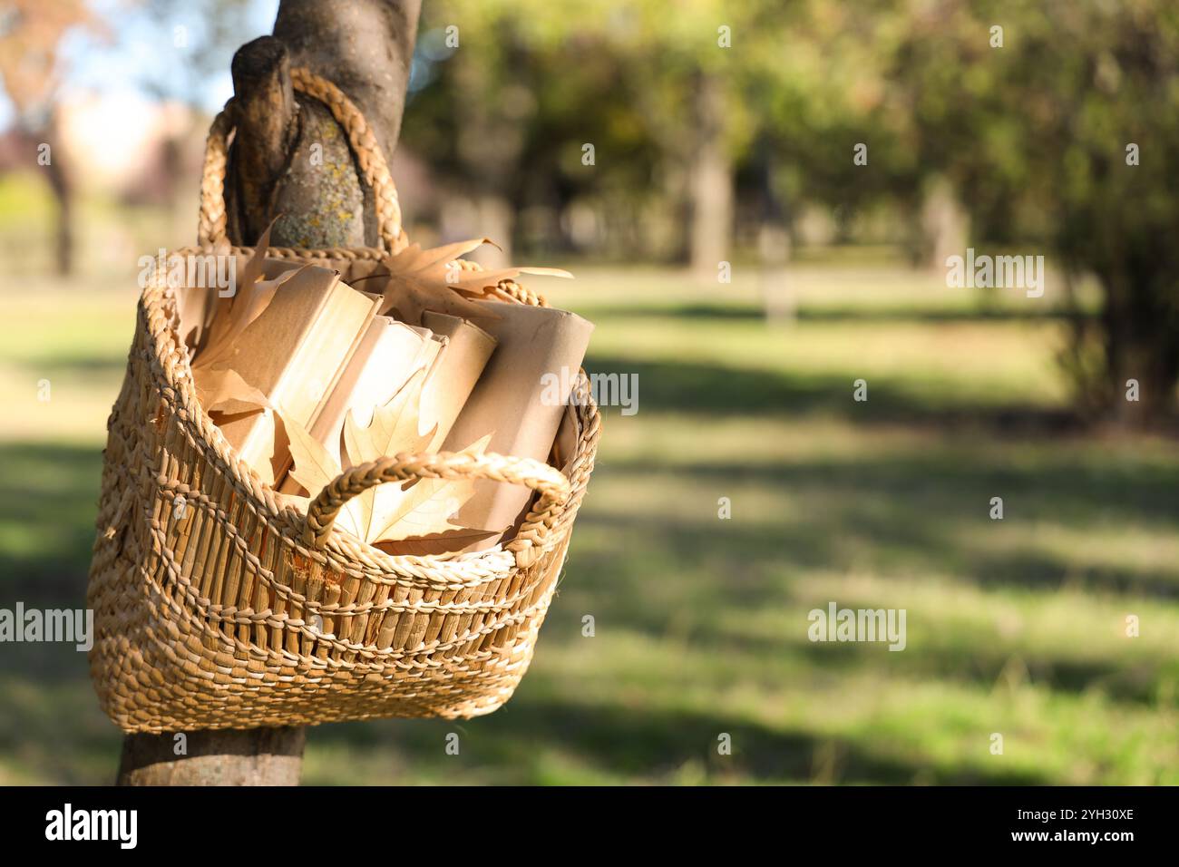 Books hanging in a tree hi-res stock photography and images - Alamy