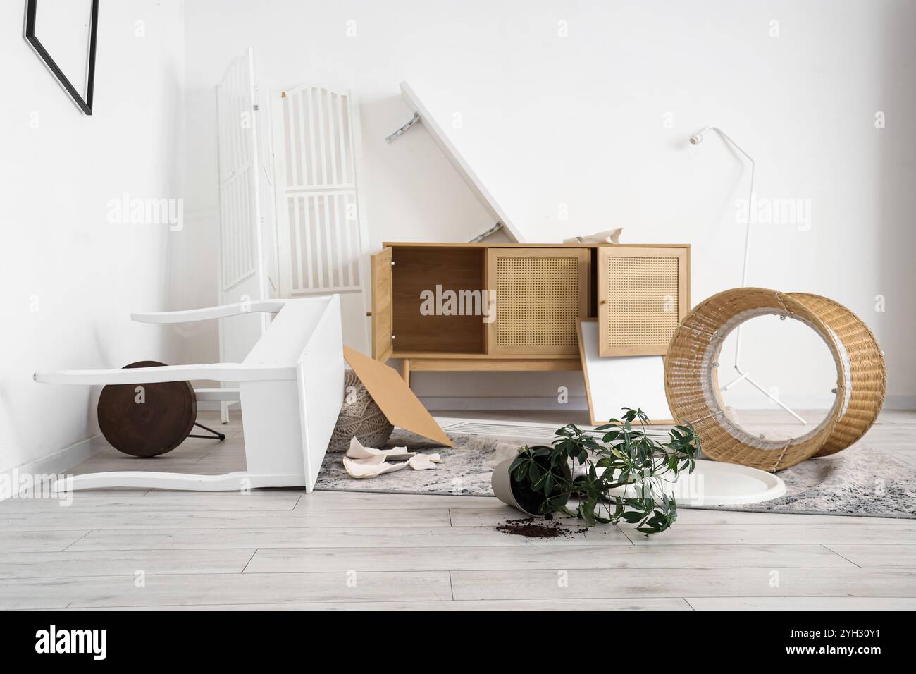 Interior of messy living room with overturned tables and plant after ...