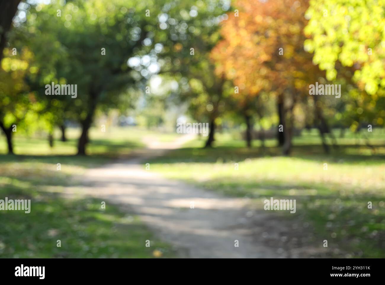 Ground pathway in beautiful autumn park, blurred view Stock Photo - Alamy