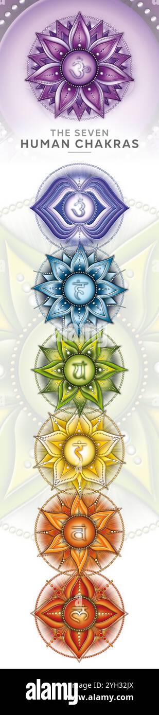 7 Chakra symbols set for meditation, energy healing. Powerful vertical chakra banner Stock Photo ...