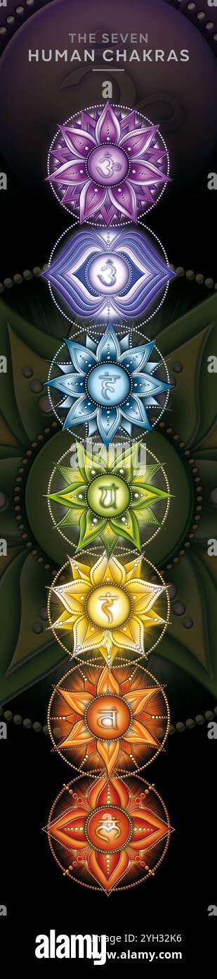 7 Chakra symbols set for meditation, energy healing. Powerful vertical ...