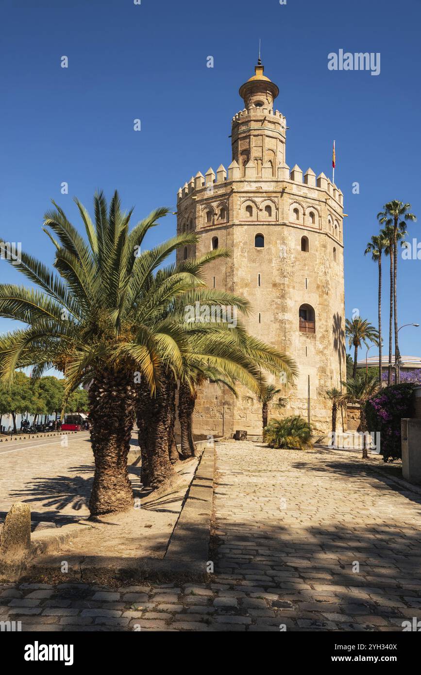 Torre del Oro Gold Tower medieval landmark from early 13th century in ...