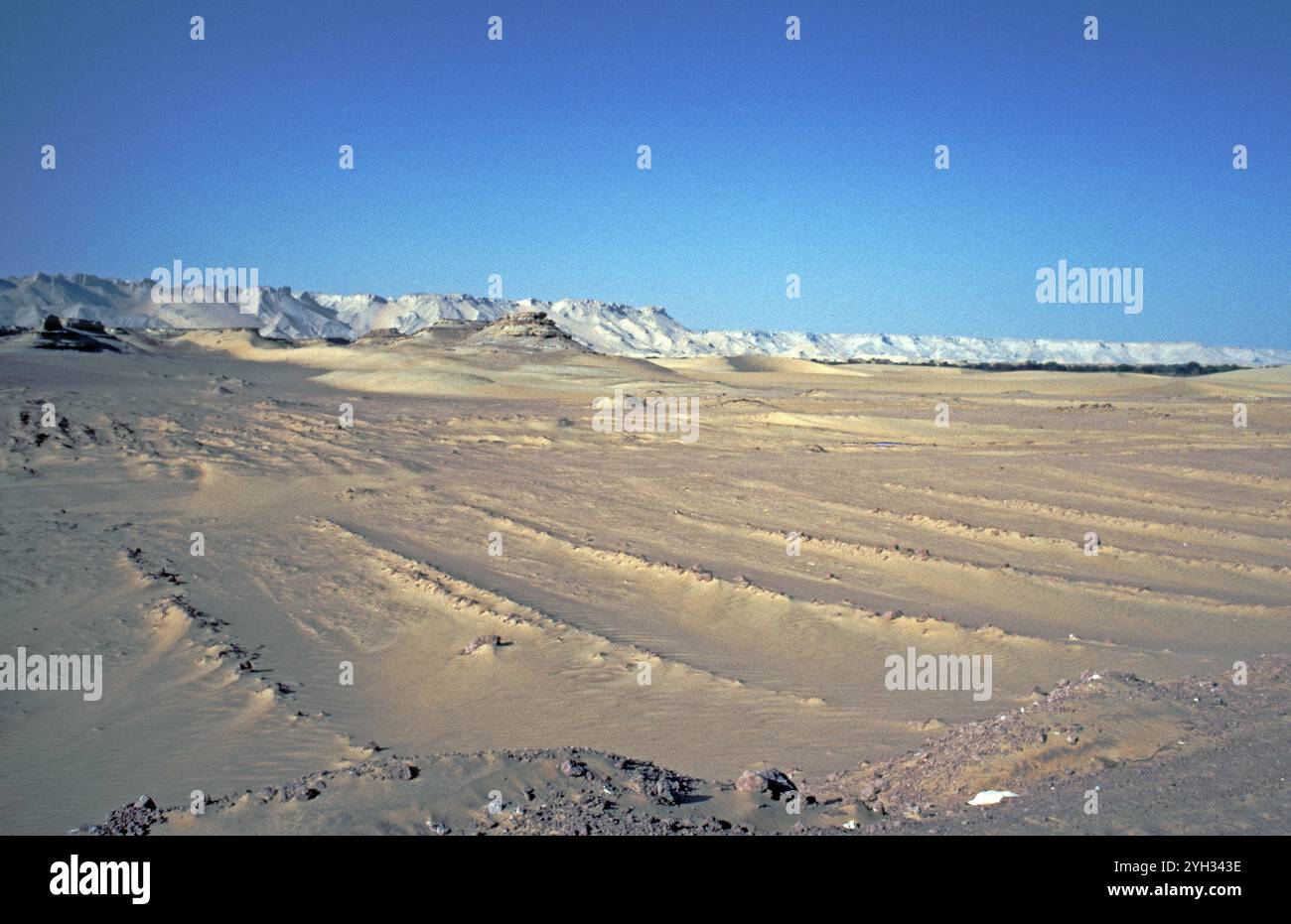Oasis ad-Dachla, Libyan Desert, Libyan Desert, Egypt, Africa Stock ...