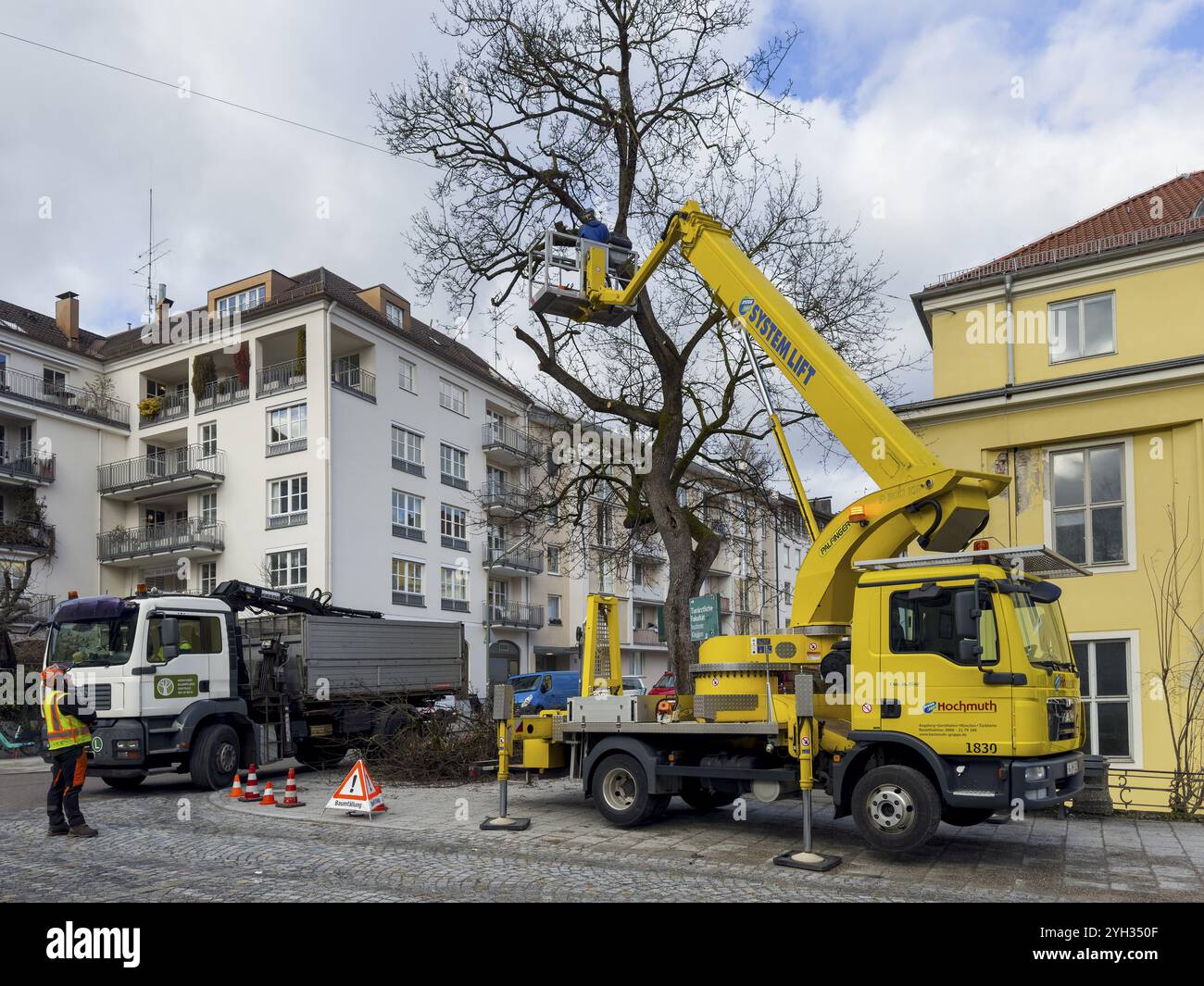 Tree work, Koeniginstrasse, Munich, Bavaria, Germany, Europe Stock ...