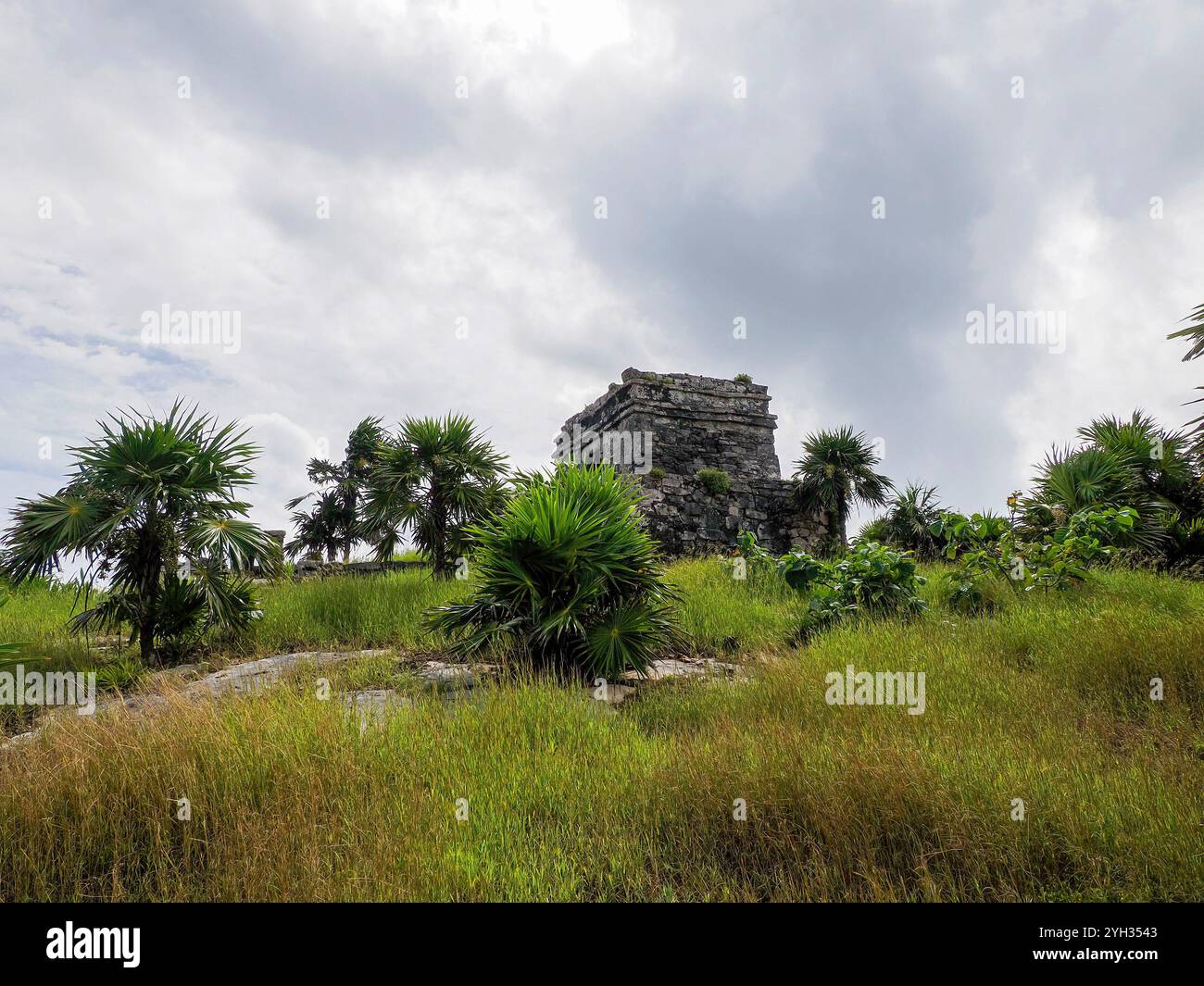 Temple of the god of the wind Tulum maya historical archeological site ...