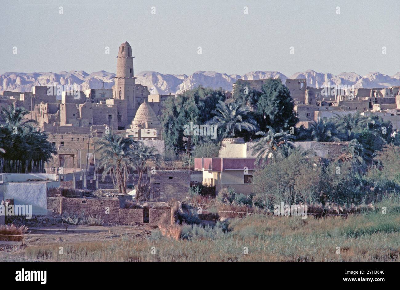 Mosque from the 9th century, mud-brick houses, main town Qasr, Oasis ad ...