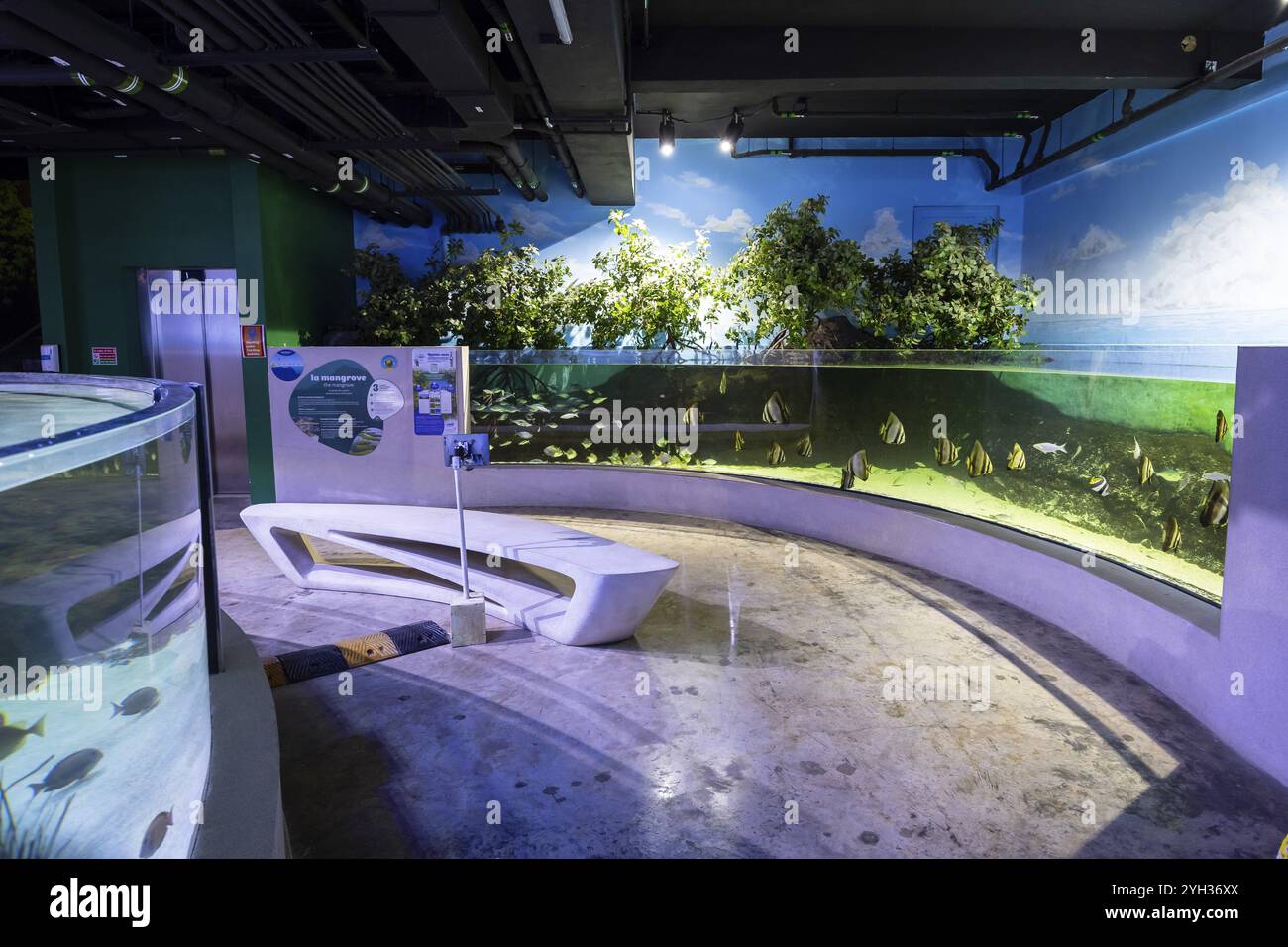 Exhibition room, aquarium, Odysseo Oceanarium Mauritius, show aquarium ...