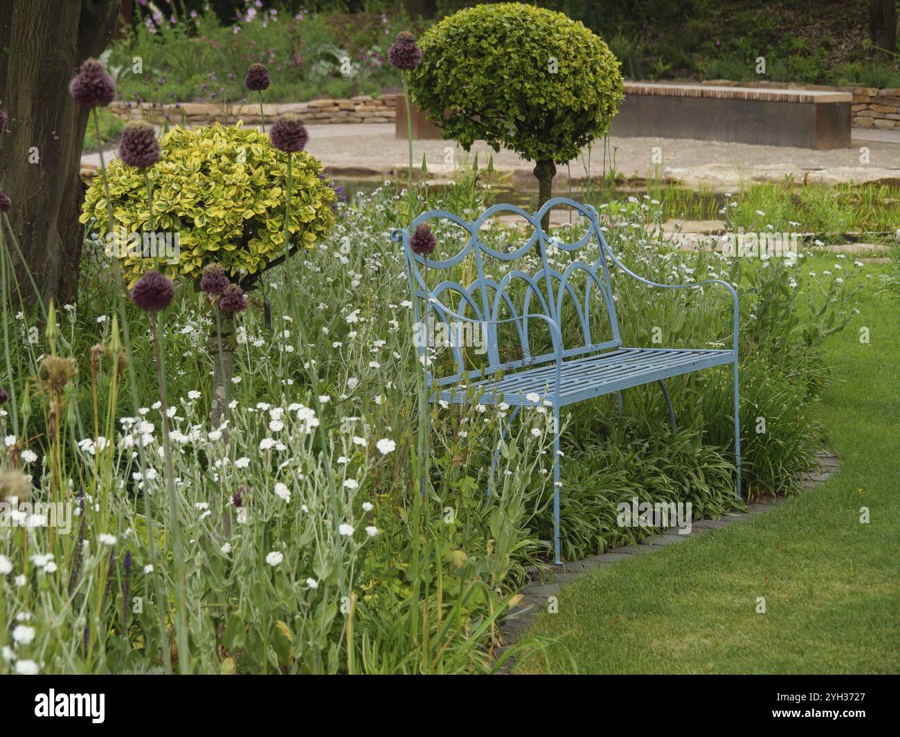 A quiet garden with a blue bench surrounded by flowering plants ...