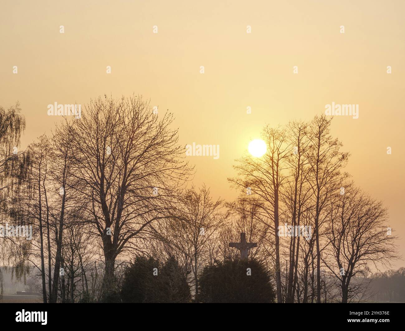 Sunset behind trees with an orange-coloured evening sky, weseke ...