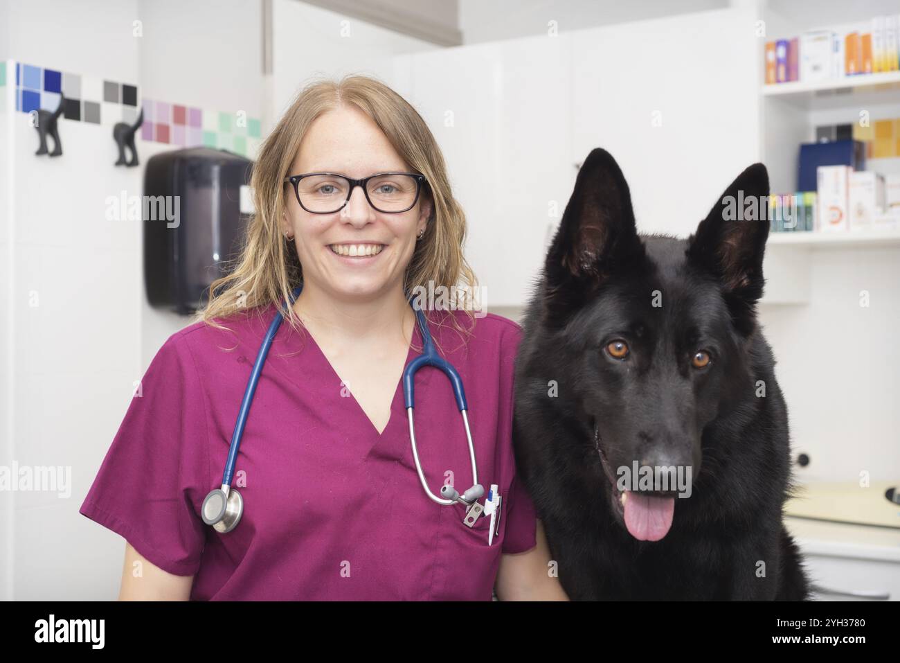 Female veterinary doctor using hi-res stock photography and images - Alamy