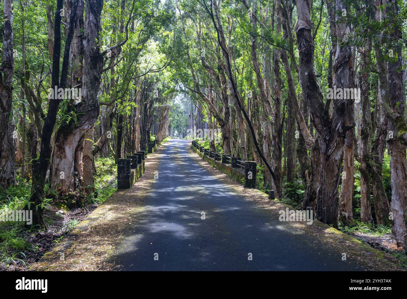 Isla gorge national park hi-res stock photography and images - Alamy