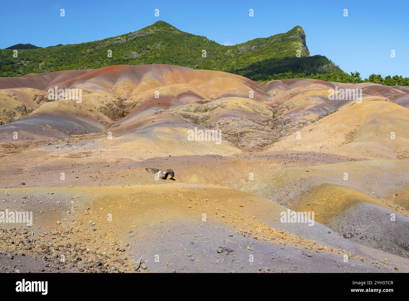 Seven Coloured Earth, 7th coloured earth, Minerals, Geopark, Terres des ...