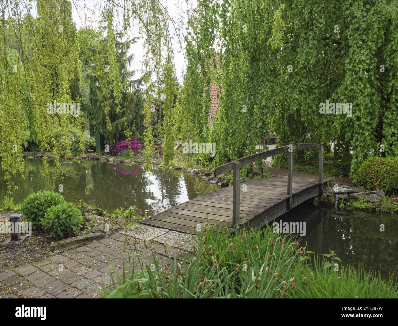 Small wooden bridge over a pond, surrounded by lush vegetation and a ...