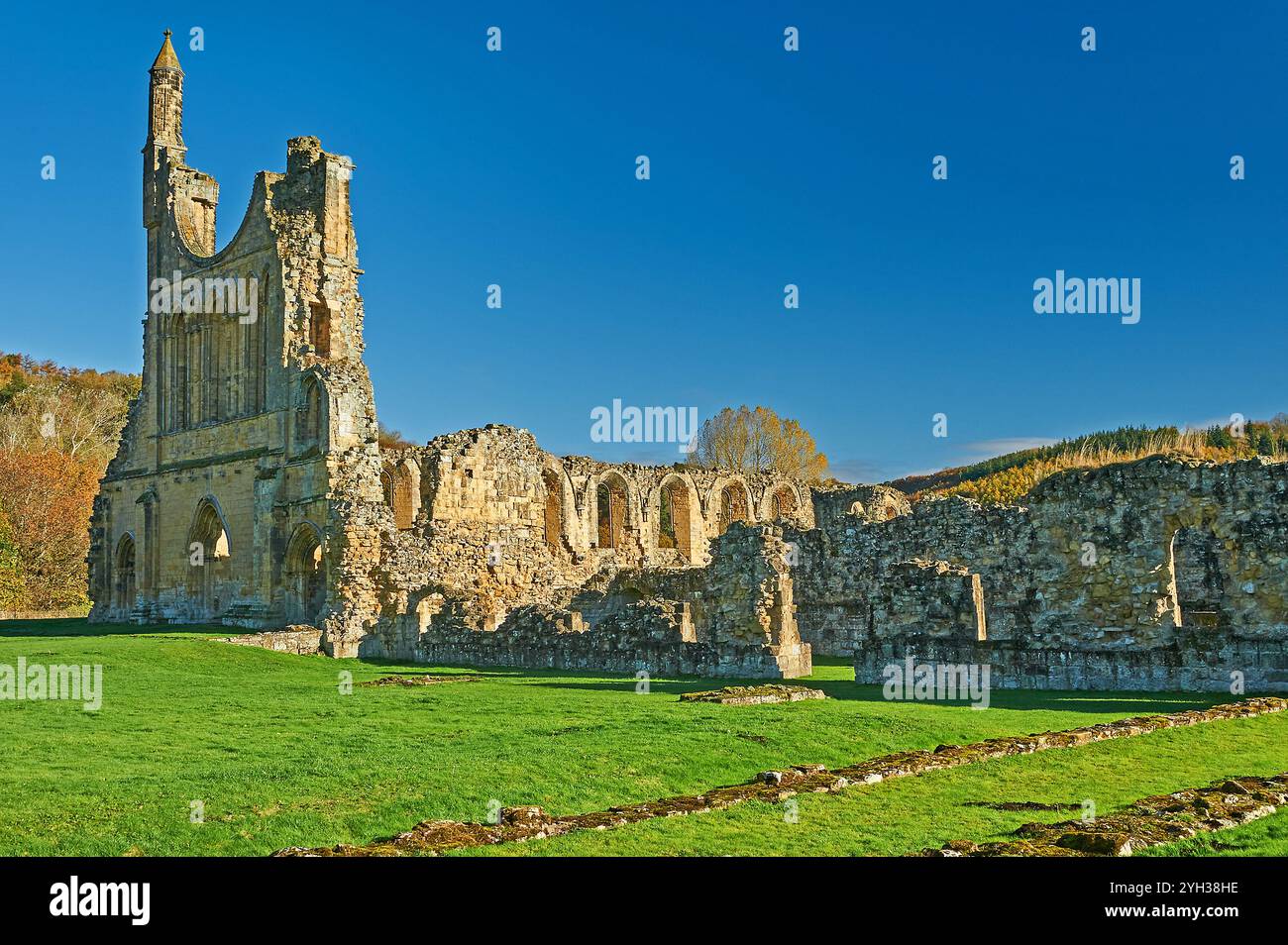 Henry viii dissolution of monastries hi-res stock photography and ...
