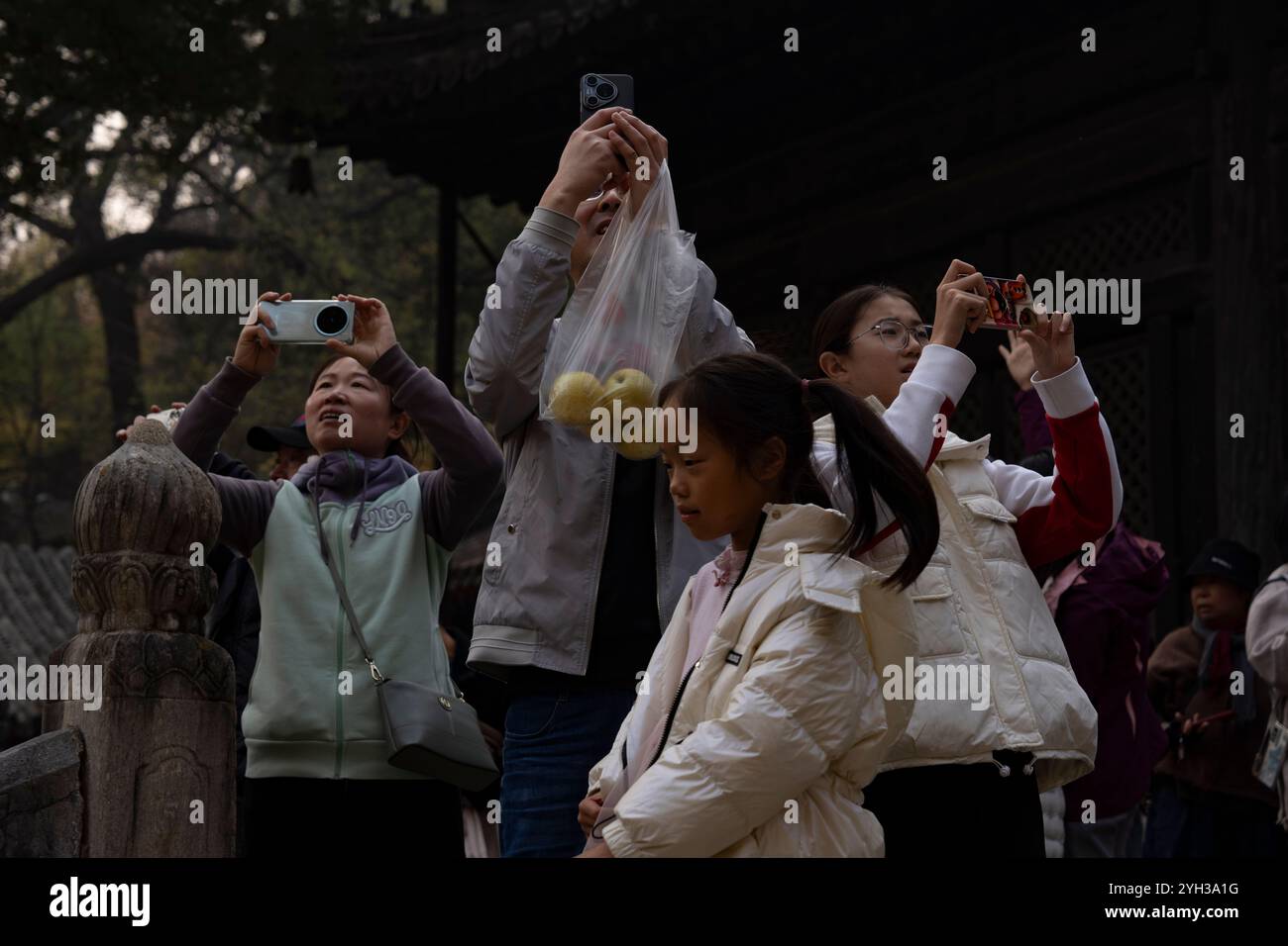 Visitors take photos of a thousand year old gingko tree at the Temple ...