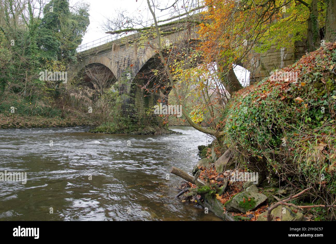 The river Derwent flowing under a railway bridge in Matlock, Derbyshire ...
